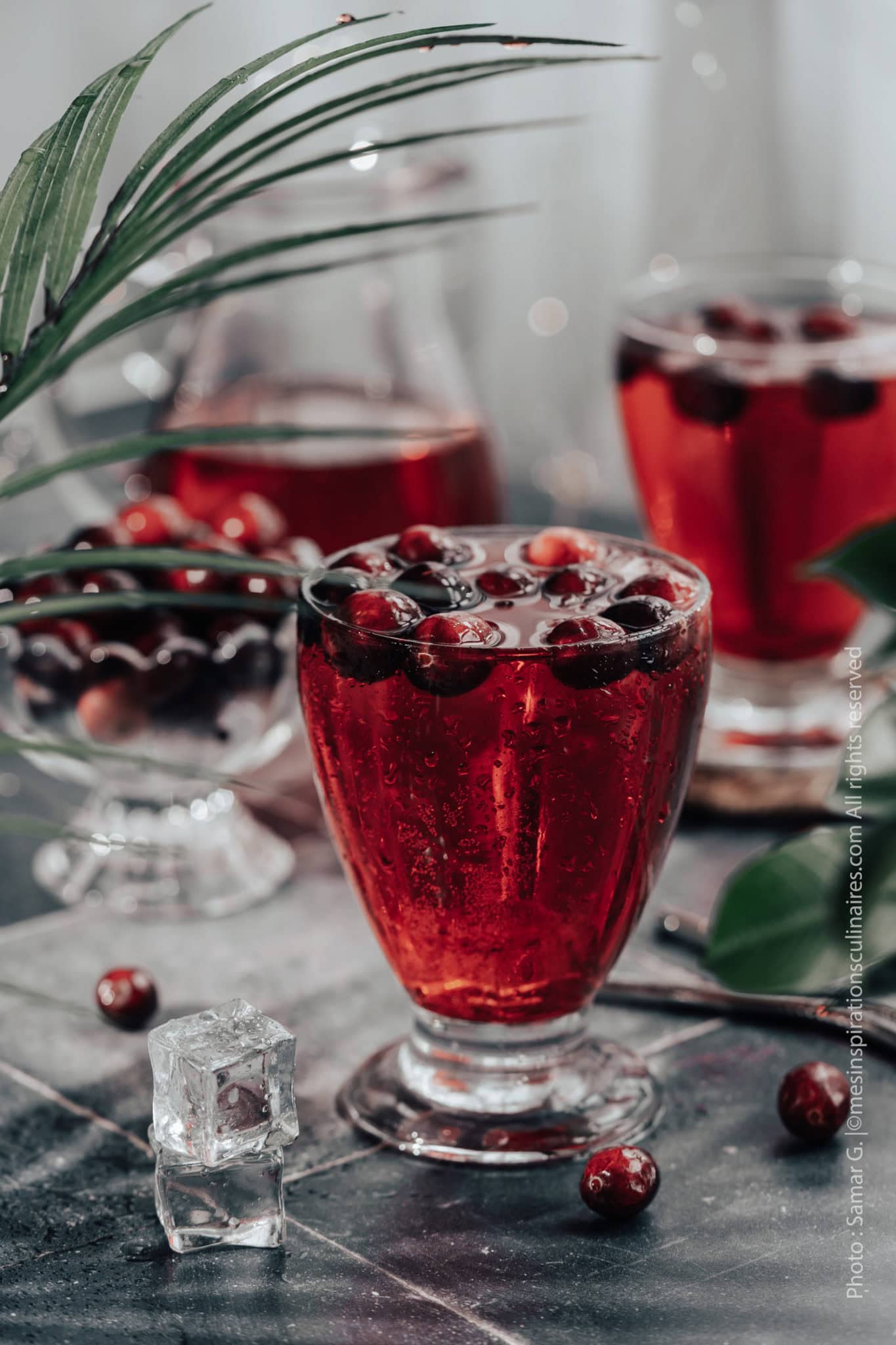 Jus de canneberge (jus cranberry), recette maison